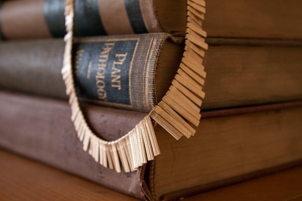 Top 10 Mistakes New Learners Make with Legal Terminology (And How to ...